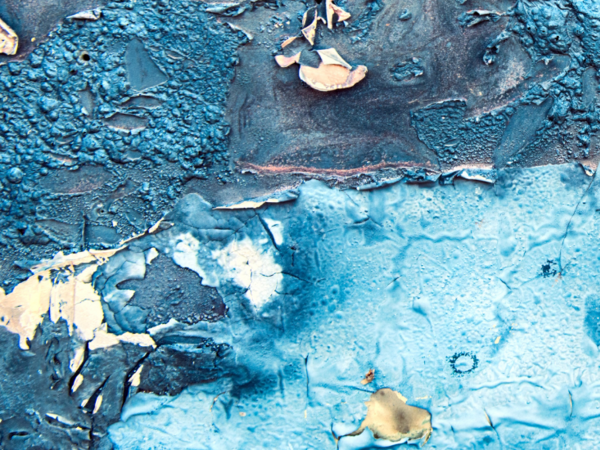 5 Common Conservation Questions Answered: Contemporary and Modern ...